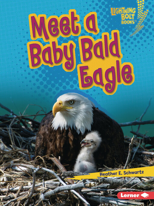 Libby - Meet a Baby Bald Eagle